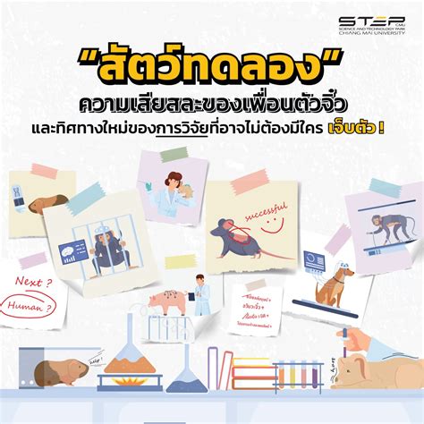 Cmu Step Make Innovation Simple