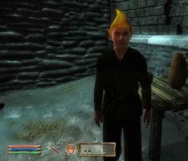 Play As Adoring Fan At Oblivion Nexus Mods And Community
