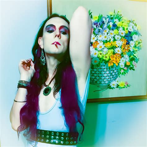 Hotel Violet Violet Star