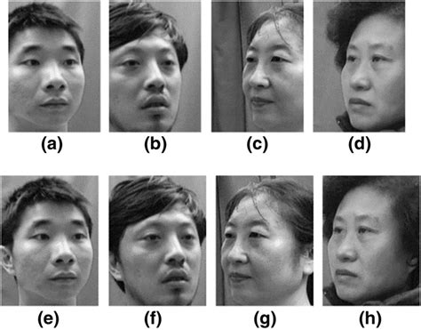 Yaw Correction To Cas Peal R1 Database A D Are Uncorrected Images