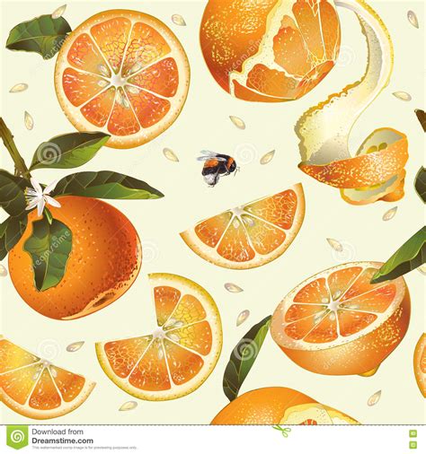 Vector Orange Seamless Pattern Stock Vector Illustration Of Nature