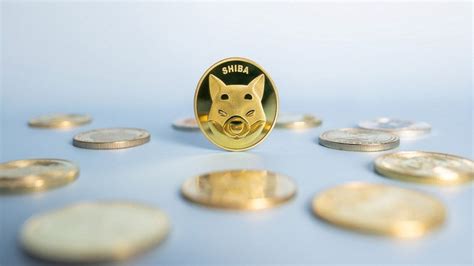 Shiba Inu Meme Coin Creators Travaille Sur Le Métaverse Shiberse