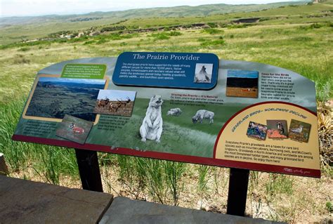 Unlocking Power Of Interpretive Signage A Comprehensive Guide