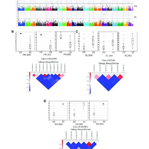 A Manhattan Plots Showing Gwas Results For Various Fruit Traits Fw Download Scientific