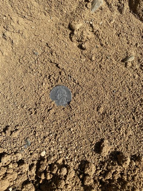 Class Ii Sand Lester Brothers