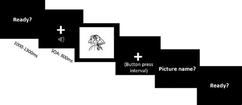 Illustration Of The ERP Experimental Procedure Download Scientific Diagram