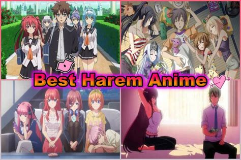 Top More Than 81 Best Harem Anime Tv Series Super Hot Vn