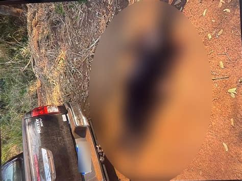 Corpo de homem é encontrado mãos amarradas e marcas de tiro na cabeça próximo a caminhonete
