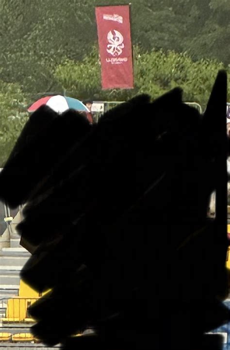어디에나 개랑은 존재한다 아니엇음 국내축구 에펨코리아