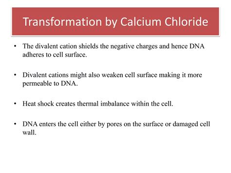 Bacterial Recombination 1 Pptx Biotech And Biomedical Industry
