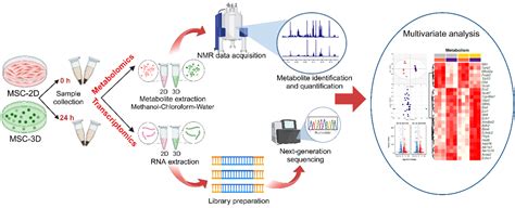 Comparative Metabolomic And Transcriptomic Analysis Of 2d And 3d