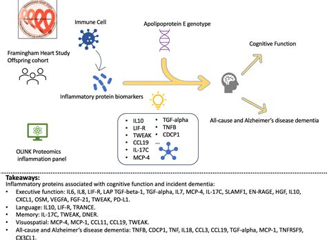 Aging Cell Vol 22 No 10