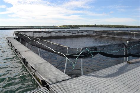 Aquaculture Floating Structures Kropf Aquaculture