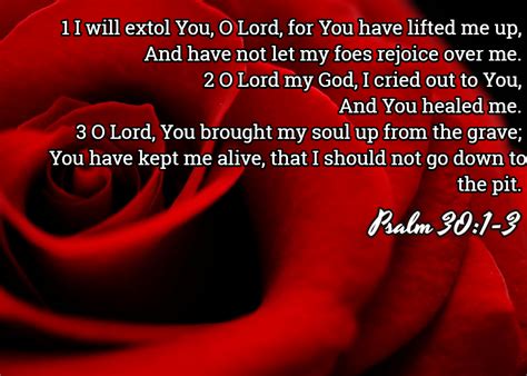 Praises And Prayers Psalm 301 3