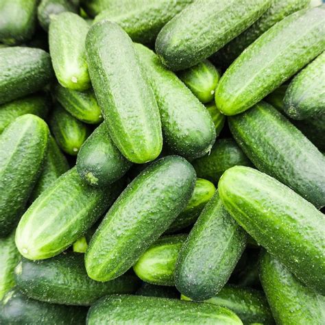Premium Photo Fresh Green Cucumber Cucumber Background