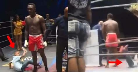 Video Alex Pereira S Son Mocks Israel Adesanya With Collapse Celebration Following Father S KO Win