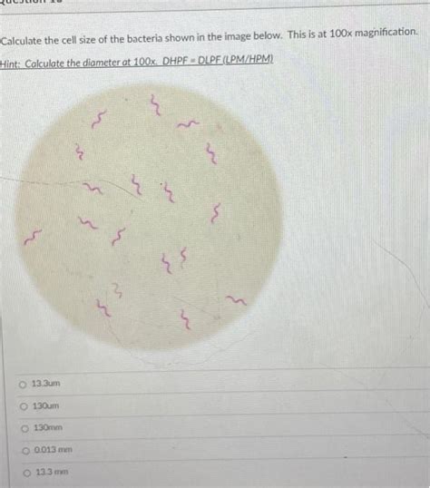 Calculate The Cell Size Of The Bacteria Shown In The