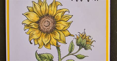 Cre Aartje Zonnebloemen