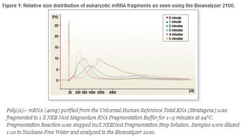 NEBNext RNA Mg 片段化模块NEB酶试剂 New England Biolabs Amresco官网
