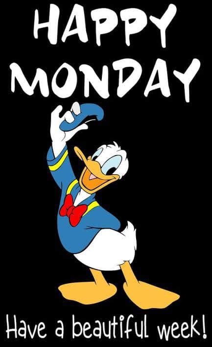 Good Morning Hope This Monday And Week Annies Busy Beez
