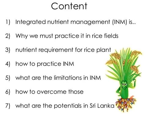 Potentials Of Integrated Nutrient Management Systems In Rice Cultiv