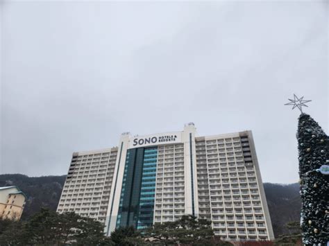 소노벨 비발디파크 소노벨b동 패밀리 오크 취사 스탠다드 침대 네이버 블로그
