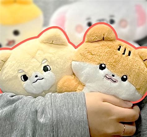 품안에 쏘옥 키키와 호두 인형 텀블벅 크리에이터를 위한 크라우드펀딩