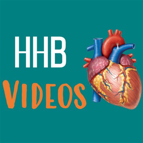 Higher Human Biology Youtube