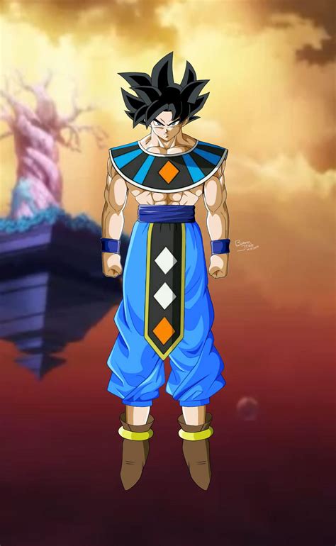 Grand Priest Goku Wallpapers Top Free Grand Priest Goku Backgrounds
