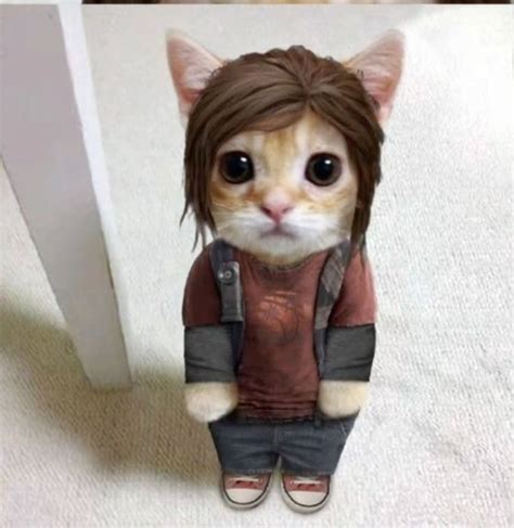 Ellie Cat The Last Of Us Joel And Ellie Ellie