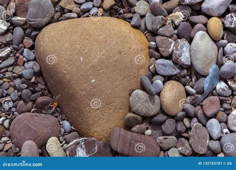 Abstract Background With Peeble Stones Different Size And Shape Stock Image Image Of Outdoor