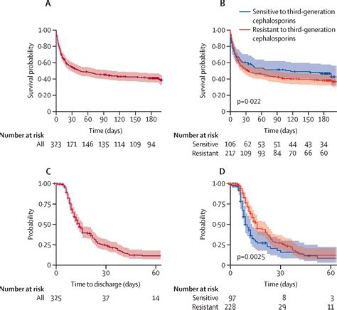 3rd Generation Cephalosporin