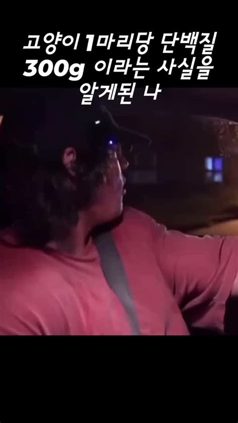 헬스 Motivation Meme 헬스 보디빌딩 운동 데드리프트 스쿼트 동기부여 밈 닭가슴살 벌크업 다이어트 식단 근력운동 근력 턱걸이