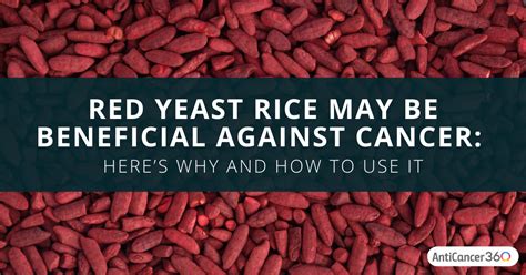 Is It Safe To Take Red Yeast Rice At Kathaleen Velasquez Blog