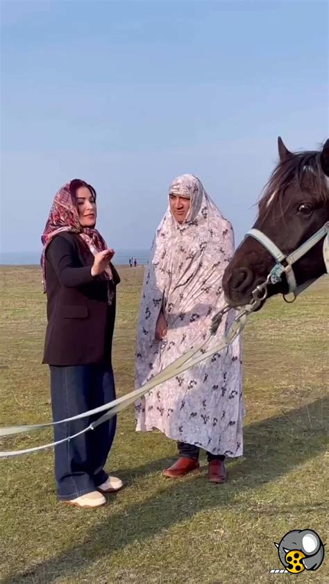 طنز ننه سیف الله فیلو