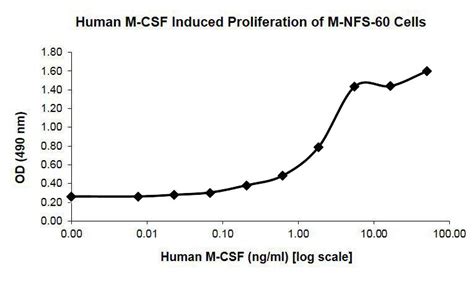 Human Macrophage Colony Stimulating Factor Recombinant Protein