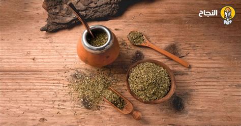 ما هي الفوائد الصحية لمشروب المتة؟ Yerba Mate Yerba Mate Tea Mate Tea