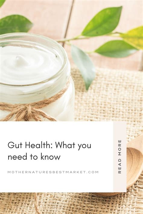 The Benefits Of L Reuteri For Sibo And Gut Health Artofit