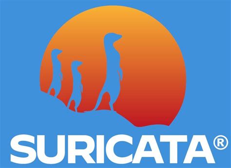 The New Stack On Linkedin Ubuntu Linux Install The Suricata Intrusion