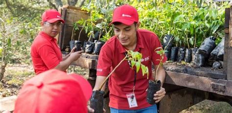 Bac Es Reconocido Como Un Caso De Estudio Global Por Sus Buenas