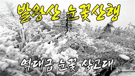 발왕산 눈꽃 상고대 역대급장관 음악 월령공주ost 히사이시죠 YouTube
