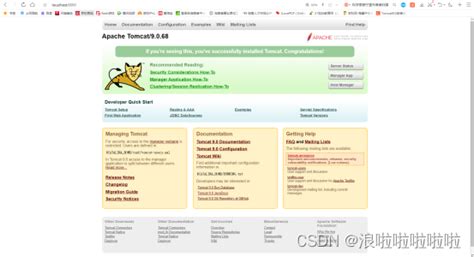 2022 11 02 tomcat9 0安装及配置教程 win10 by yuner 浪啦啦啦啦啦的博客 csdn博客