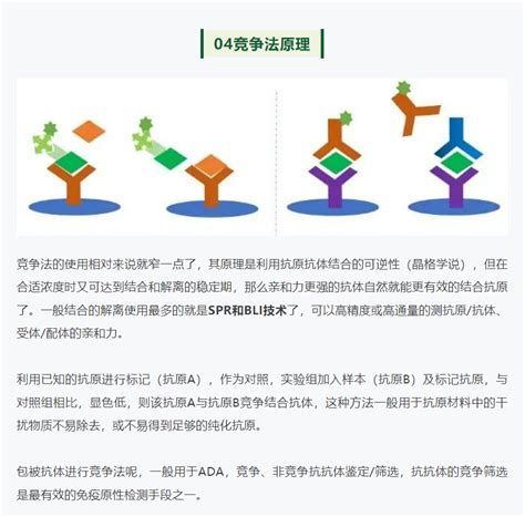 知识课堂｜elisa，从原理到操作详解！