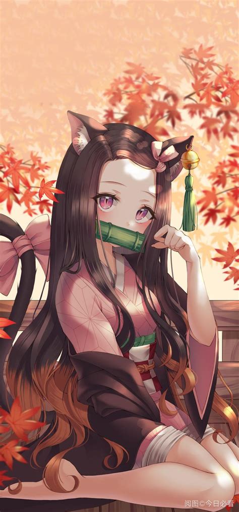 祢豆子 堆糖美图壁纸兴趣社区