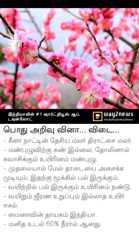 Pin By Nasreen On Tnpsc General Knowledge Facts Gernal Knowledge