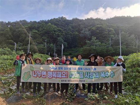 점촌5동 새마을회 사랑의 옥수수 수확