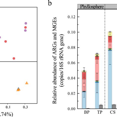 Bray Curtis Distance Based Principal Coordinate Analysis Of Antibiotic