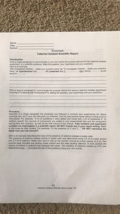Name Date Section Enzymes Catechol Oxidase