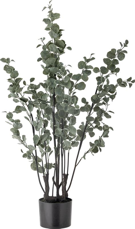 Bloomingville Eucalyptus Ve4 Xt Konstgjorda Vérter Konstgjord Växt • Pris