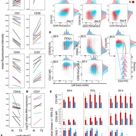 Differential Expression Of Cd45ra Ccr7 And Cd27 Cell Surface